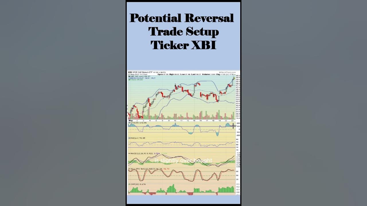 Potential Trade Setup- XBI - YouTube