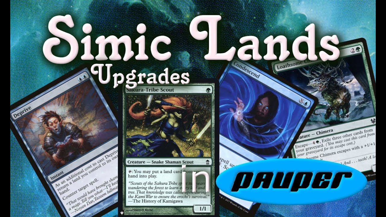 Simic Lands in Pauper Updates and Upgrades MTG Pauper - YouTube