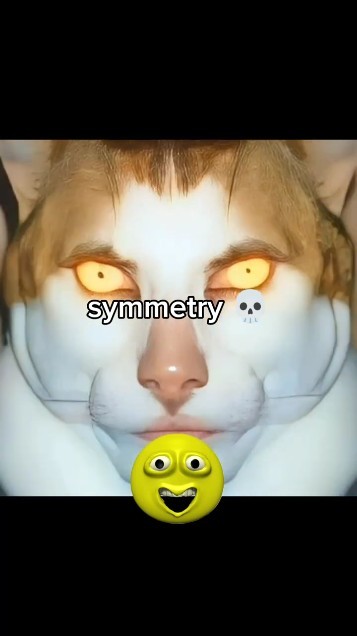 Brainrot Symmetry | Memes Edition 💯🫦💀 #shorts #memes #trend #funny ...