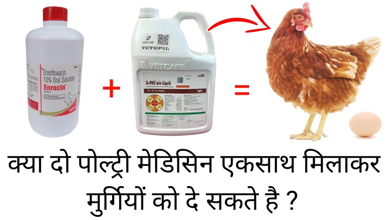 Poultry medicine list, G promin poultry medicine, Lixen, Brotone vet ...