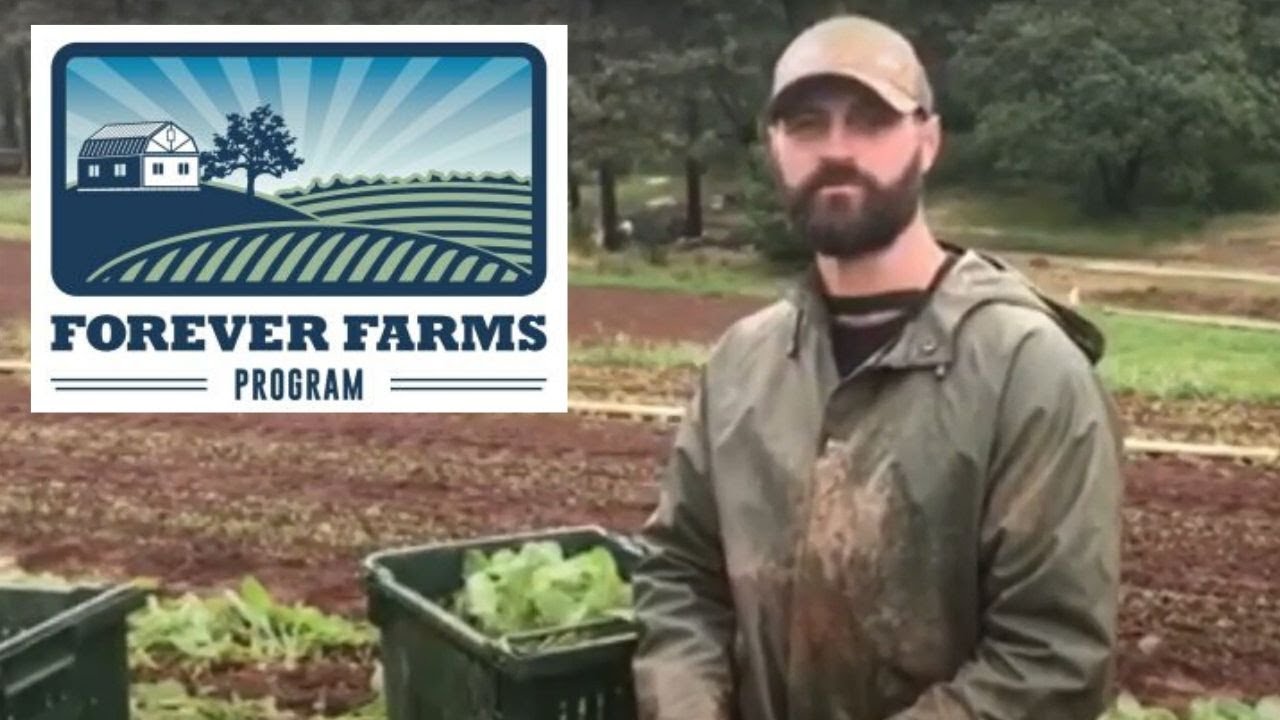 Forever Farms | What is land security? - YouTube