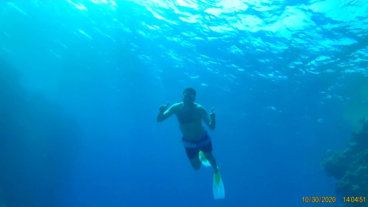 Free diving at red sea - YouTube