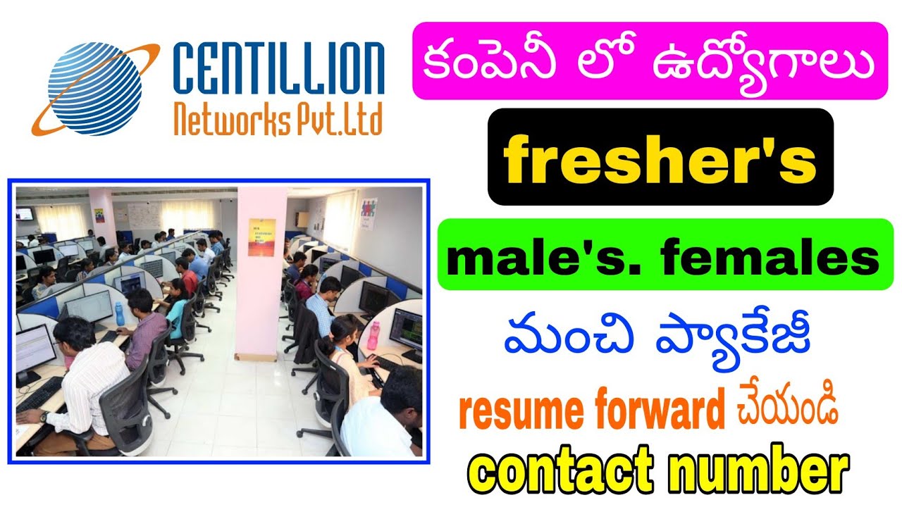 centillion networks pvt.ltd company recruitment for fresher's full ...