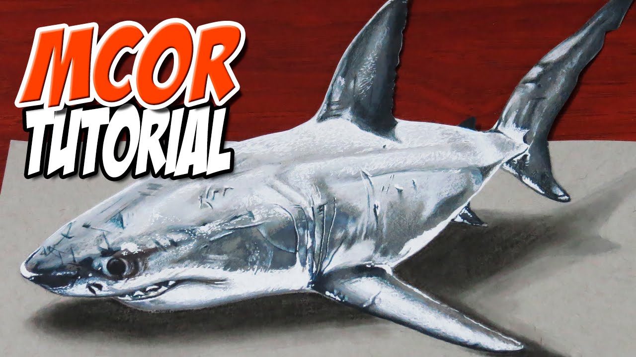How to Draw a 3D Shark - Tutorial - Explained - YouTube