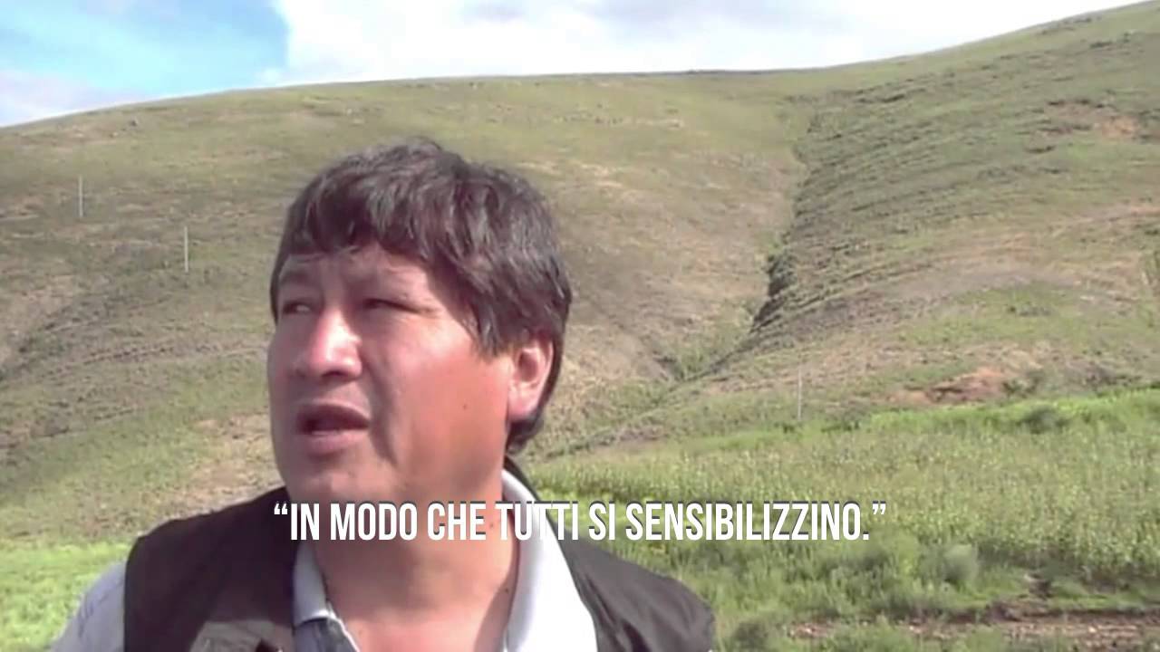 AMARANTO: Piccoli semi, grandi opportunità! - YouTube