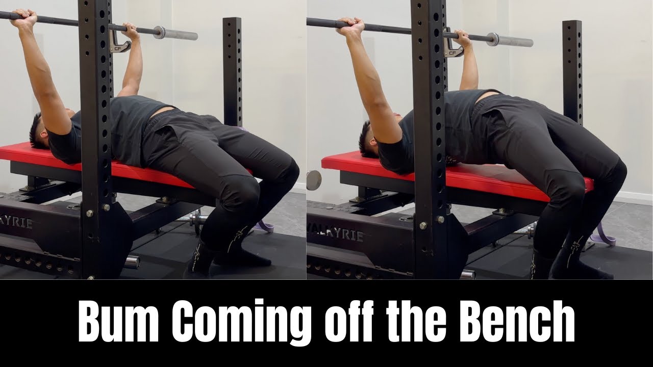 Powerlifting Bench: Why Your Glutes Comes off the Bench and Addressing ...