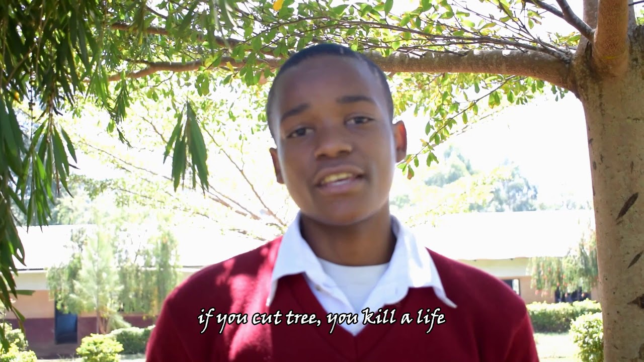 Benard Gregory 4H Million Trees - YouTube