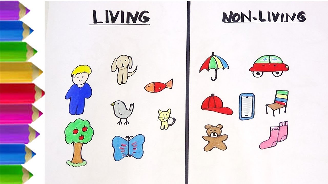 HOW TO DRAW LIVING AND NON LIVING THINGS DIAGRAM - YouTube