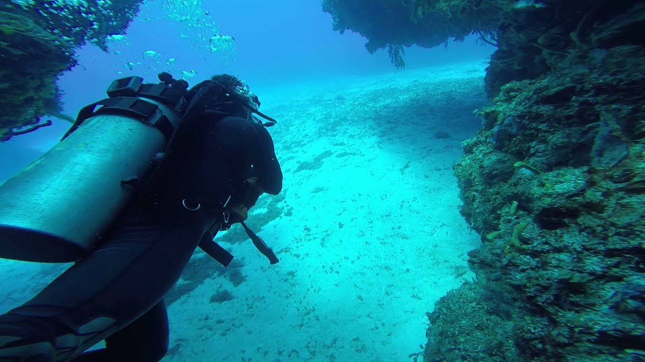 Cruising tunnels on the Columbia Reef, Cozumel - YouTube