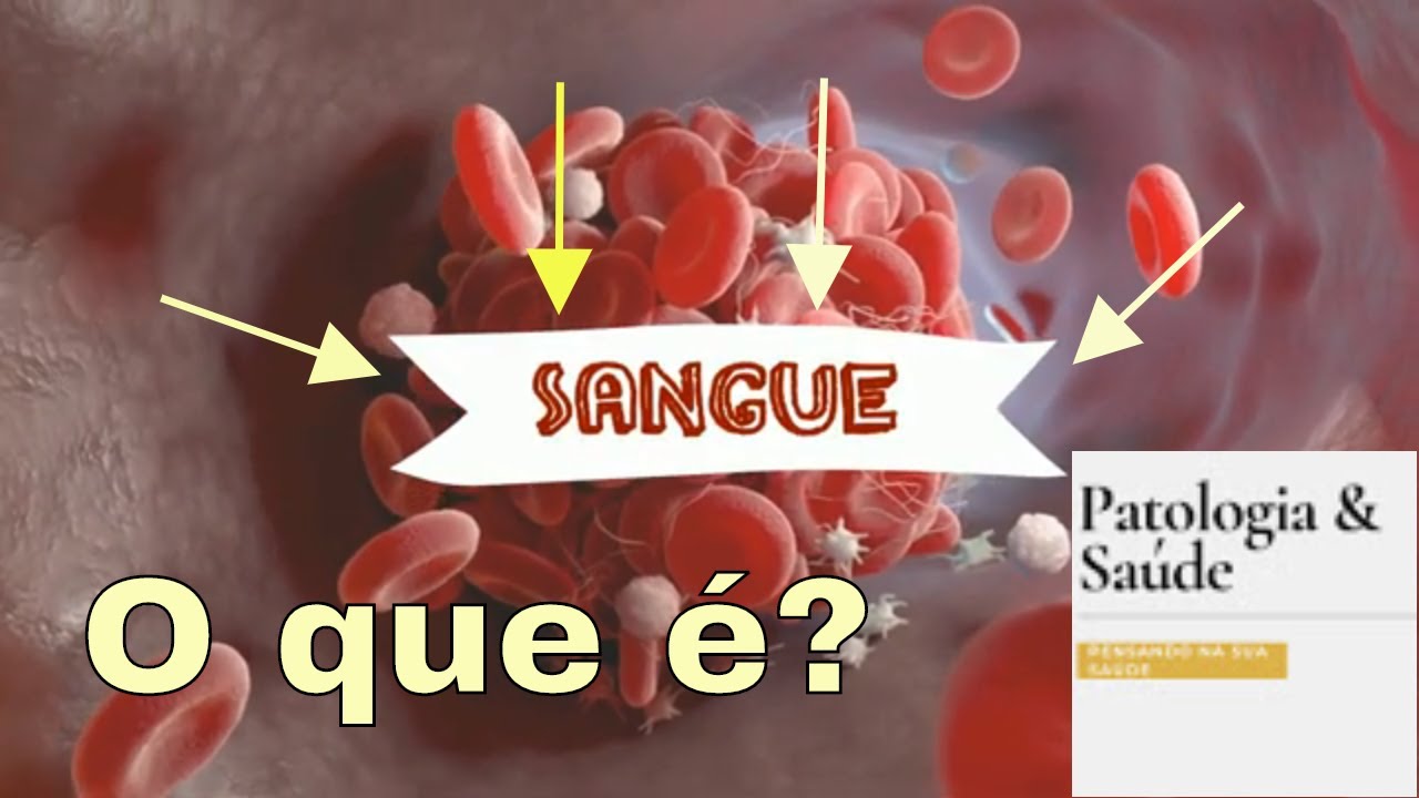 SANGUE - Visão geral (Histologia) - YouTube