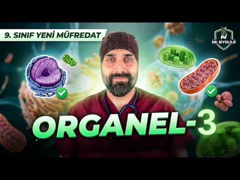 Hücresel Yapılar ve Organeller-3 | 9. Sınıf Maarif Model | Dr. Biyoloji