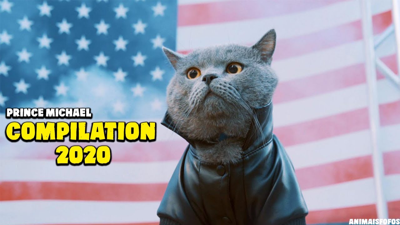 FUNNY COMPILATION with Aarons Animals 2020 - YouTube