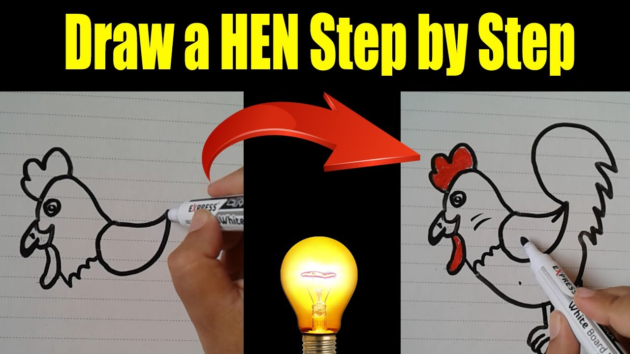 How to Draw a HEN Step by Step || Draw easily - YouTube