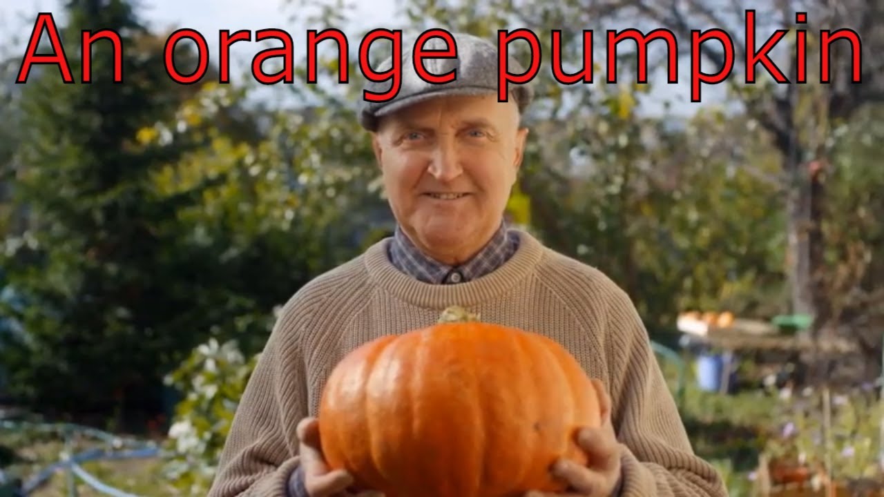 Learning English | orange color - YouTube