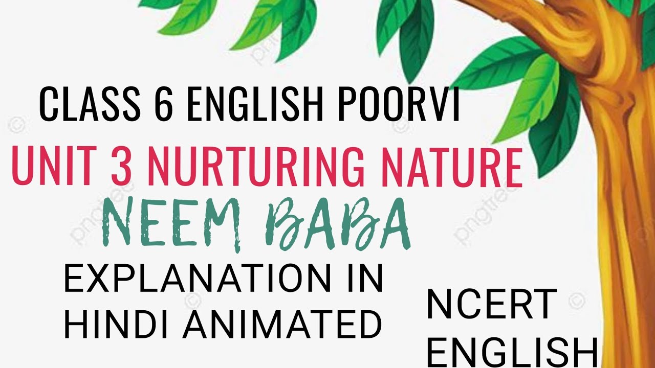 NEEM BABA | EXPLANATION OF THE CHAPTER IN HINDI ANIMATED | CLASS 6 ...