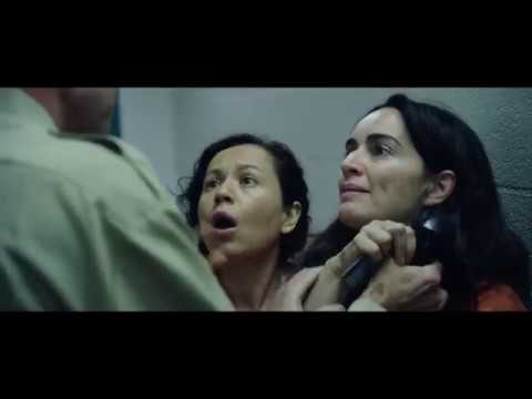 Collisions (trailer) - YouTube