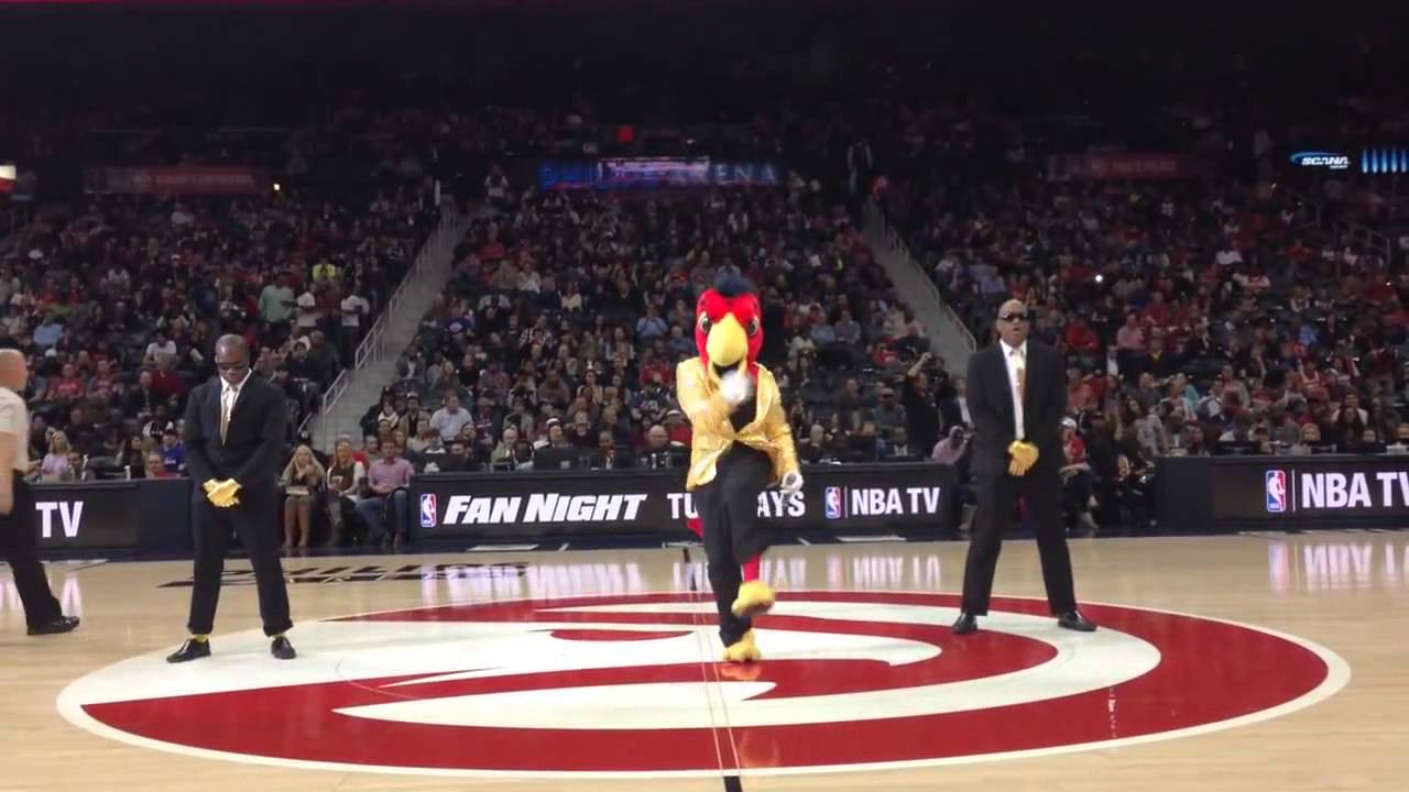 Harry The Hawk - YouTube