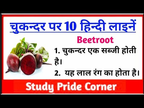 10 Lines on Beetroot | Few Lines on Beetroot in Hindi | चुकन्दर पर 10 ...