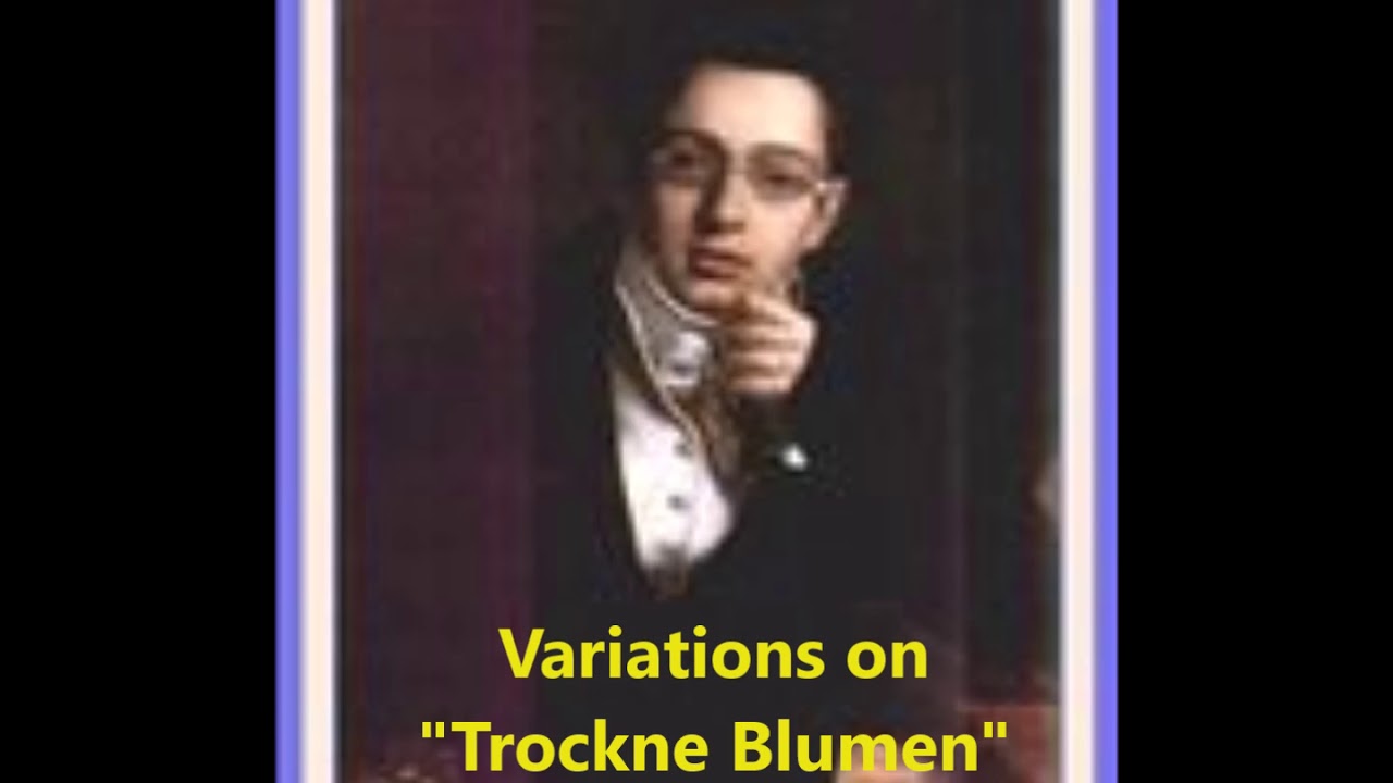 John Wummer, and Seymour Bernstein: SCHUBERT: Variations on "Trockne ...