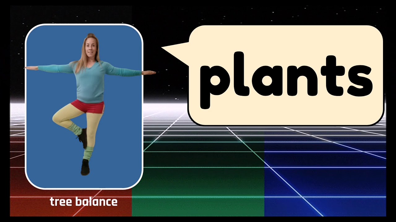 Sight Words Workout - Fry's 201-225 - YouTube