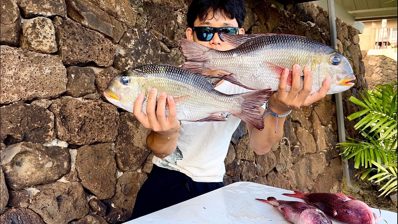 Spearfishing New Spots For Mu, BIG Goats, And GIANT Invasives! | Mu ...