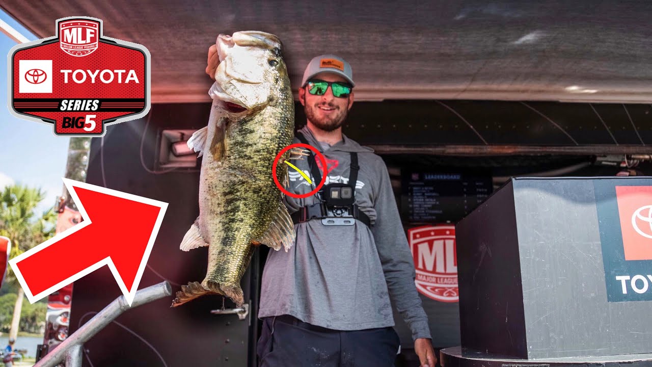 I Caught the RAREST Fish in the Lake!! - YouTube