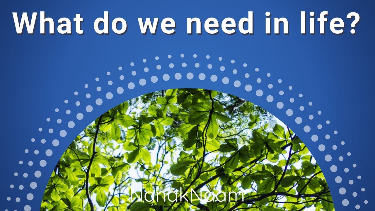 What do we need in life? - YouTube