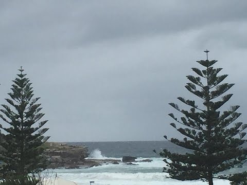 A visit to Bondi Beach with Manisha K