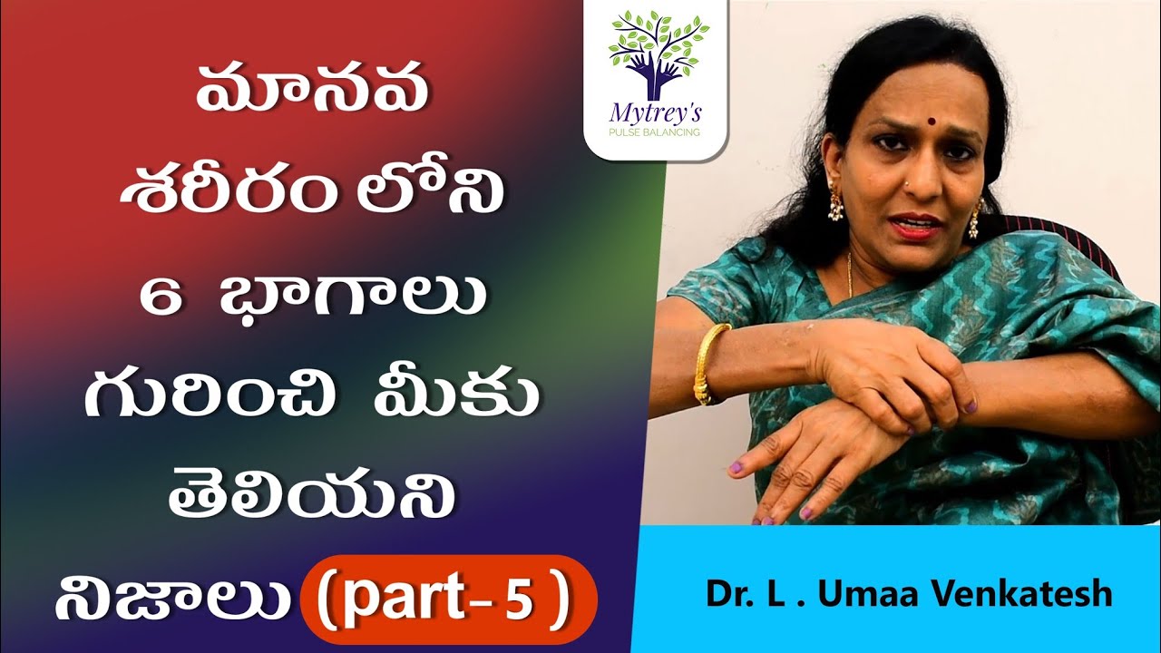 Facts About Human Body In Telugu 6 part 5 facts-about-human-body-in-telugu-6-part-5