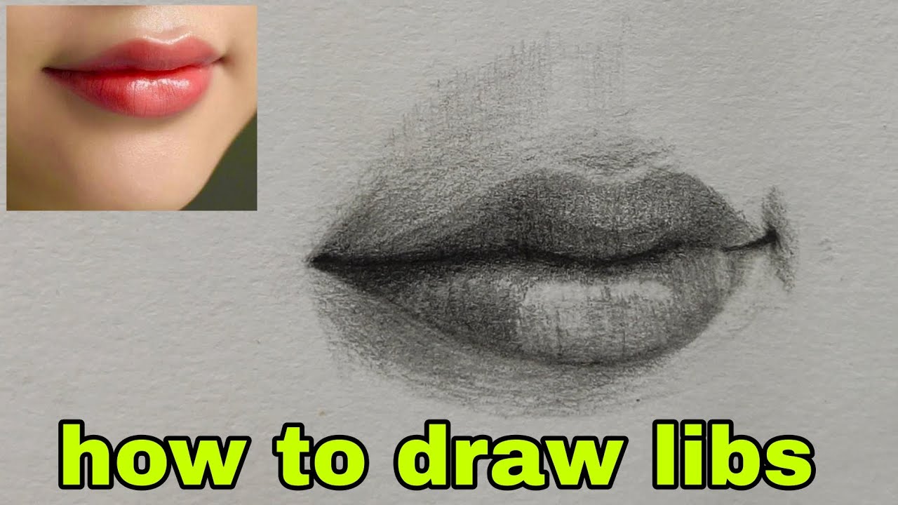 how to draw libs step by step In an easy and organized way #tutorial #drawing #artwork - YouTube