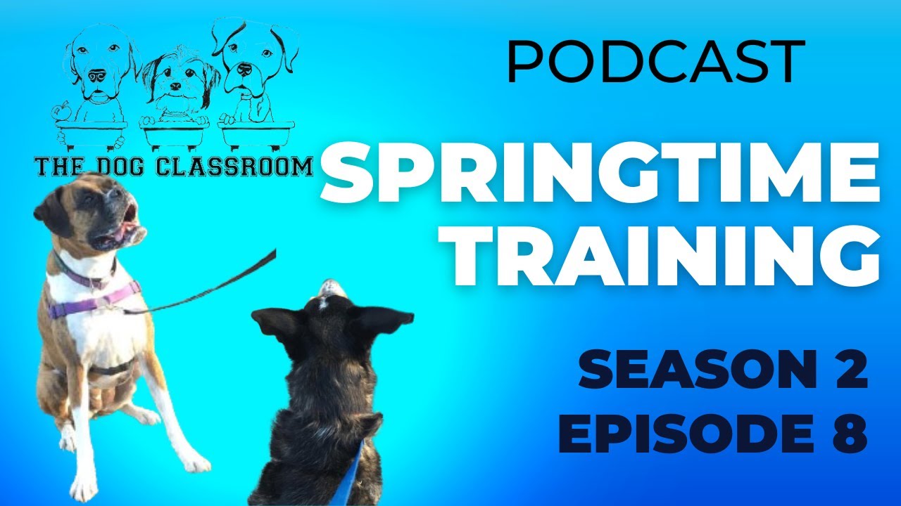 Springtime Training - Podcast Episode - S2E08 - YouTube