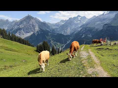 Swiss village lives in the shadow of an unstable mountain