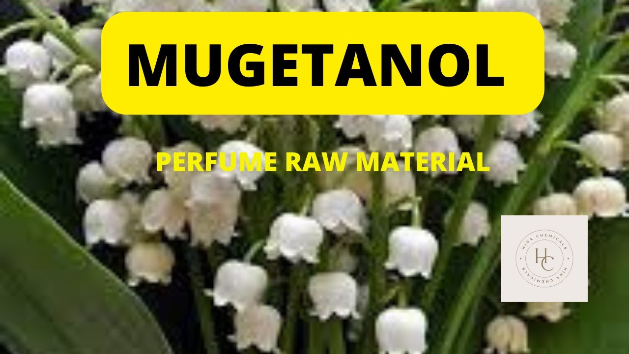 Mugetanol, Perfume Raw materials, Perfume and Chemical Information # ...