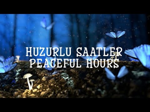 Sahil Kenarında Huzur Verici Fon Müzik / Peaceful Background Music On The Beach