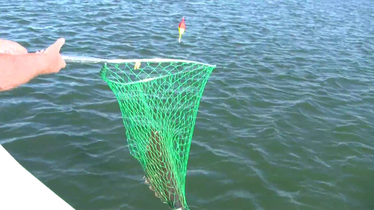 JCF Float Rig w: Fred & Frank - YouTube