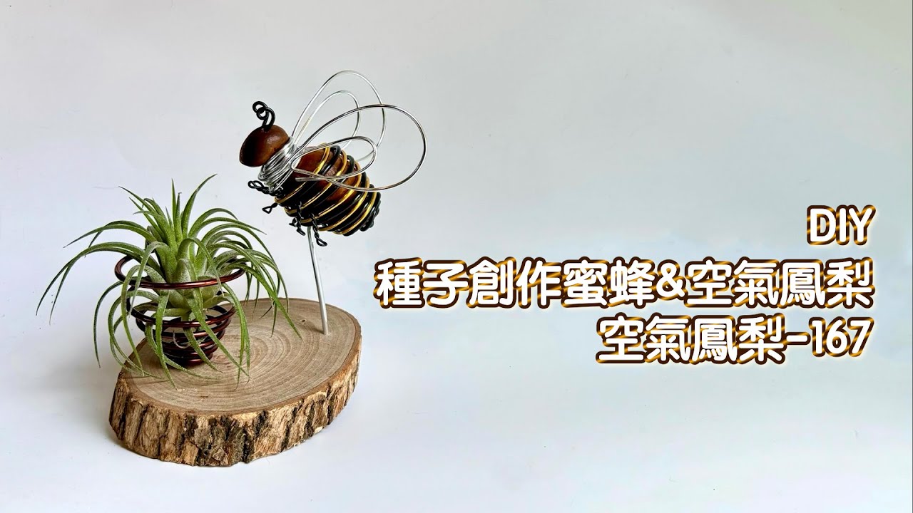 DIY wire 教你如何使用彩色鋁線製作空氣鳳梨 種子蜜蜂 How to make Aluminum wire Air plant ...
