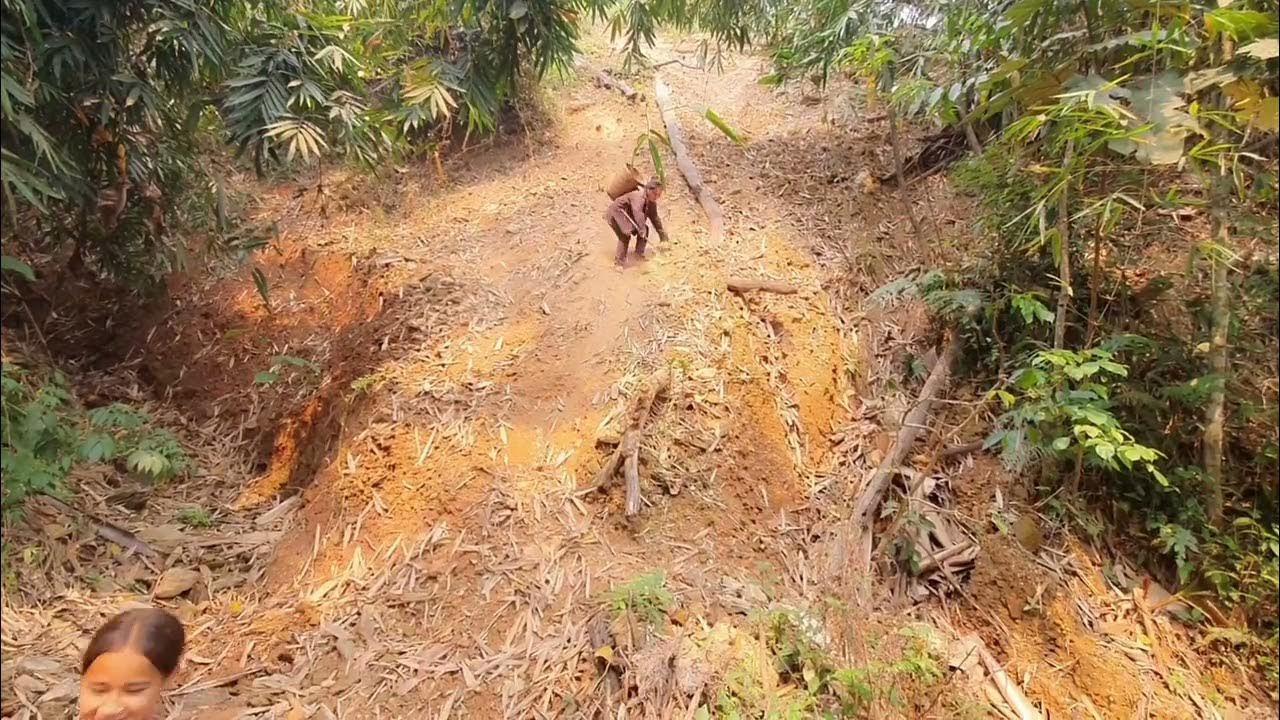 hnub no peb cov niam txiv tub mus yos noj tom hav zoov 1/4/2023 - YouTube