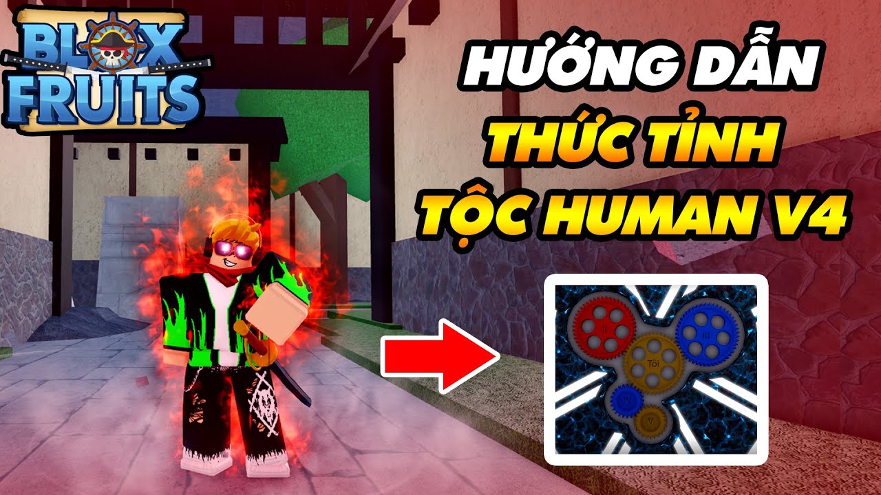 Hướng Dẫn Thức Tỉnh Tộc Human V4 Siêu Mạnh || Blox Fruits! - YouTube