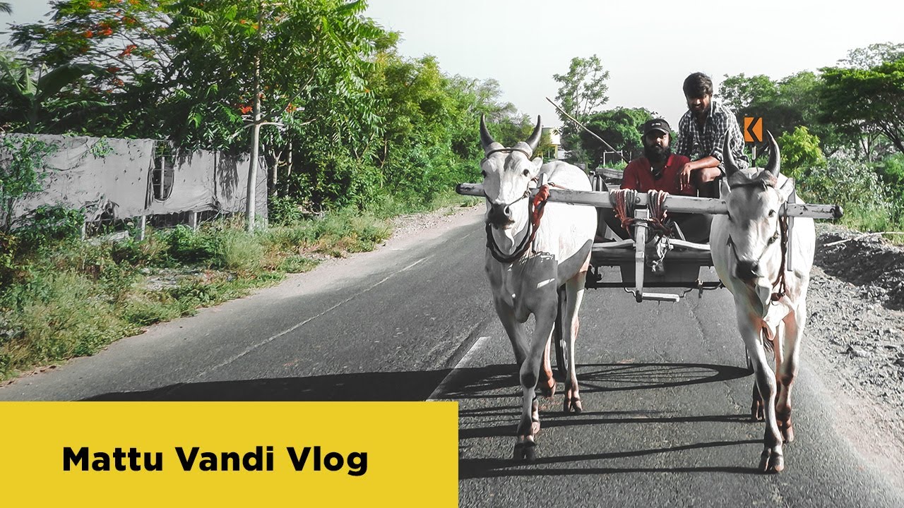 Mattu Vandi Vlog | Tamil | Fun | Culture #tamilnadu #bulls #mattuvandi ...