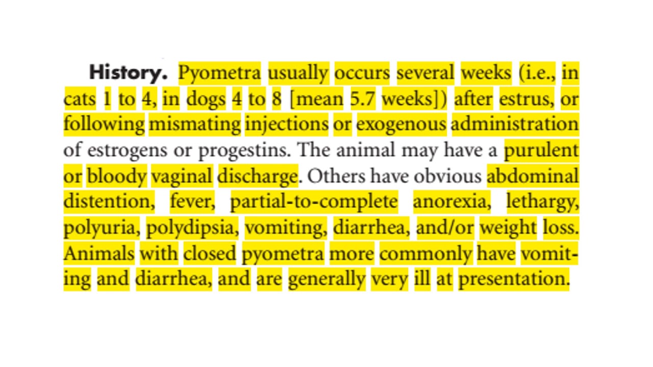 pyometra in small animals - YouTube