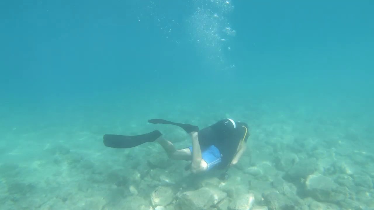 Prodata summer party - Sazan 2019 - YouTube