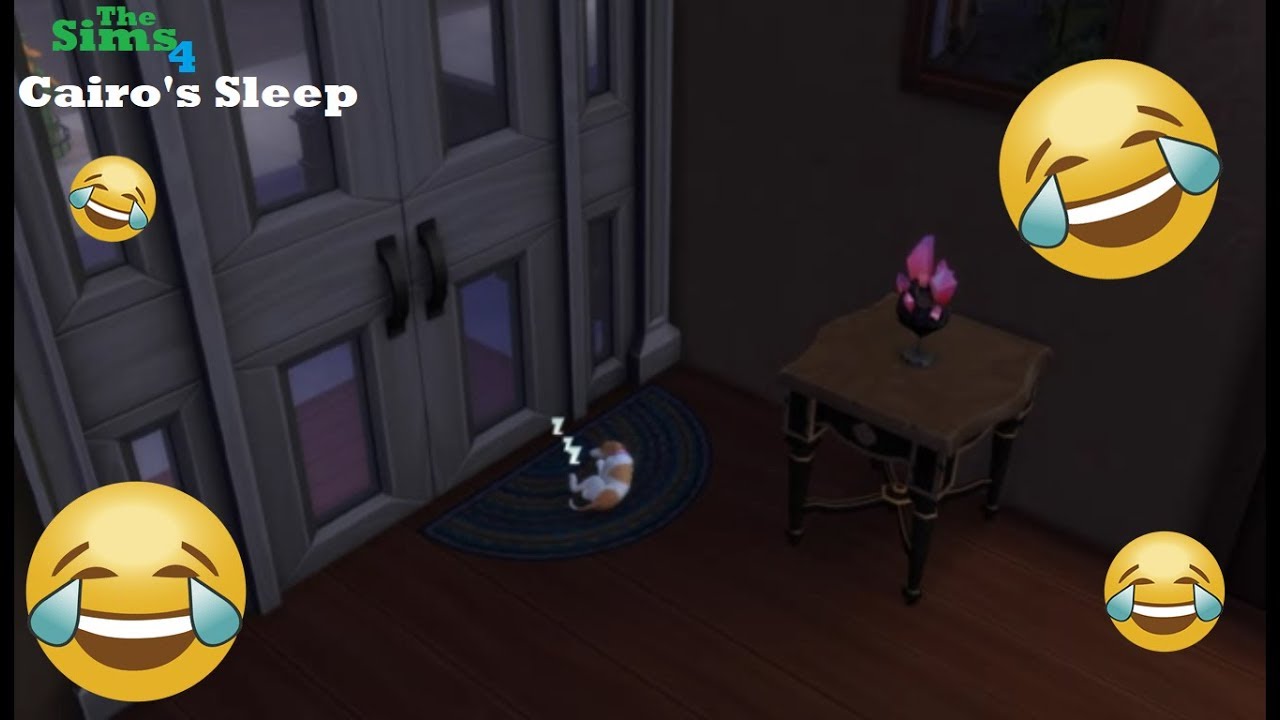 Sims 4 meme Cairo's Sleep - YouTube