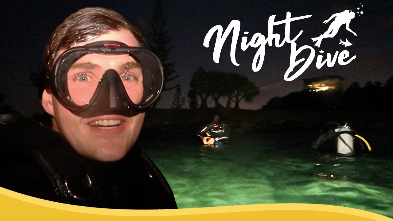 Tweed River Night Dive l Tweed Heads, NSW - Australia - YouTube