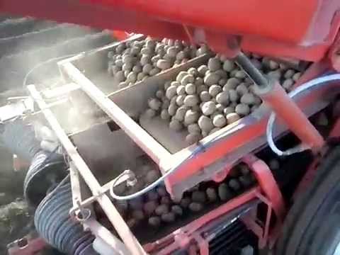 Structural PM20 - YouTube