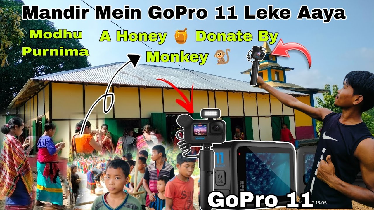 Modhu Purnima A Honey 🍯 Donated To Buddha By Monkey 🐒 | GoPro 11 Liya ...