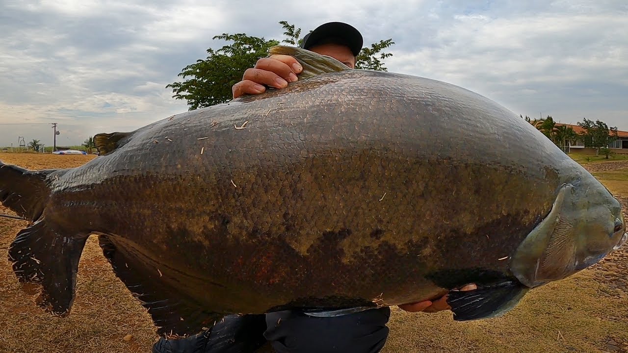 UMA PESCARIA IMPRESSIONANTE EM PLENO INVERNO! - YouTube