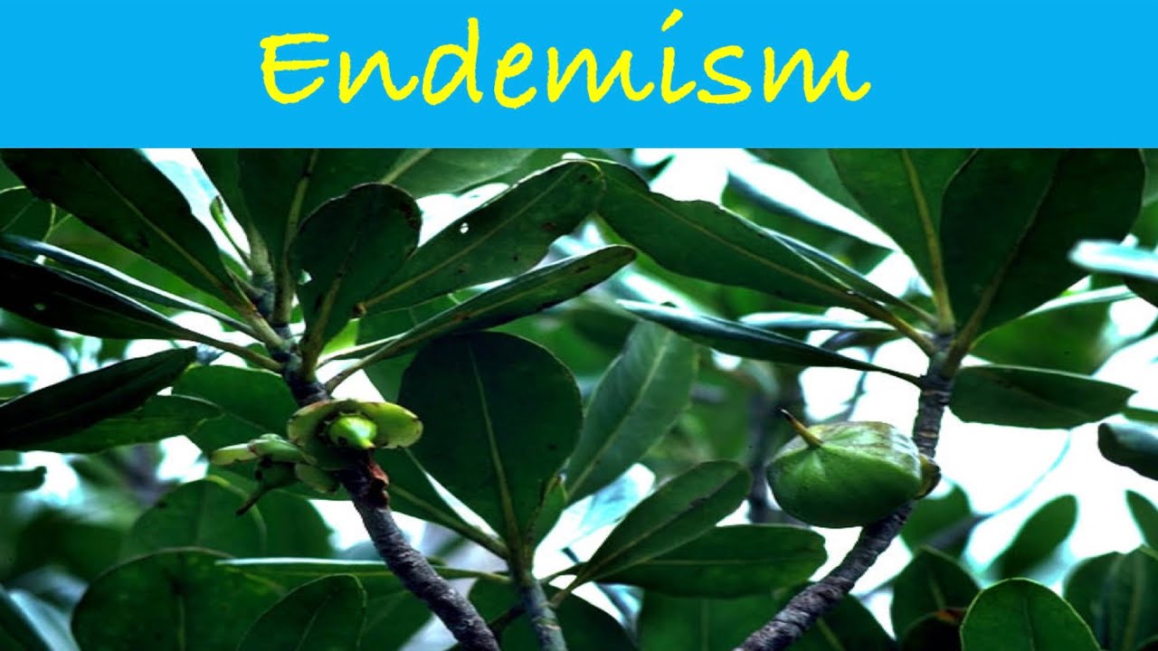 Endemism | Causes of Endemism | Endemic Species | Ecology #science # ...