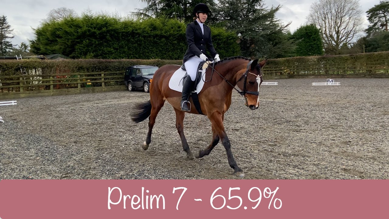 Unaffiliated BD Prelim 7 Dressage Test - 65.9% - YouTube