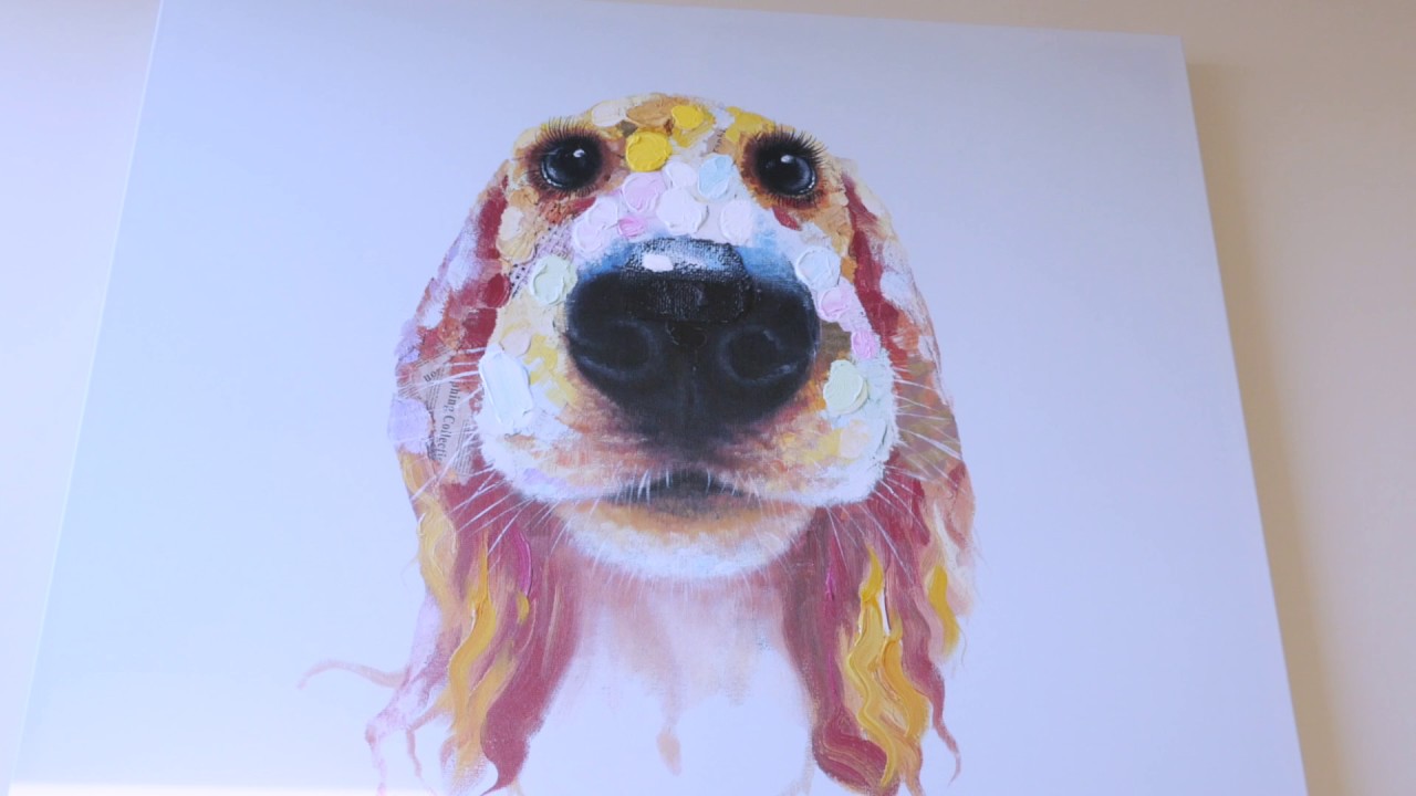 Dr. Eamon Draper Dragon Veterinary Testimonial - YouTube