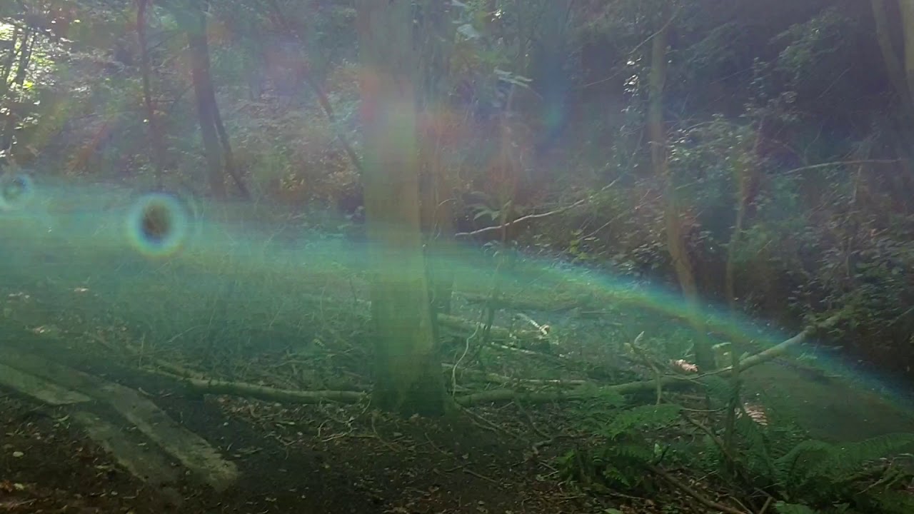 Coalbrookdale - Darby Rd to The Rope Walk to Loamhole Dingle to Darby ...